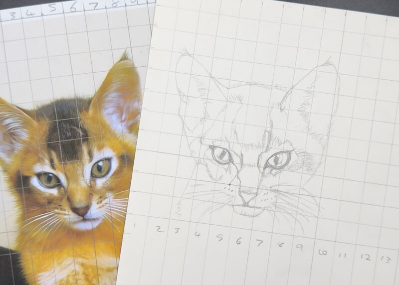 How to use the pencil drawing grid method to plot out your artwork